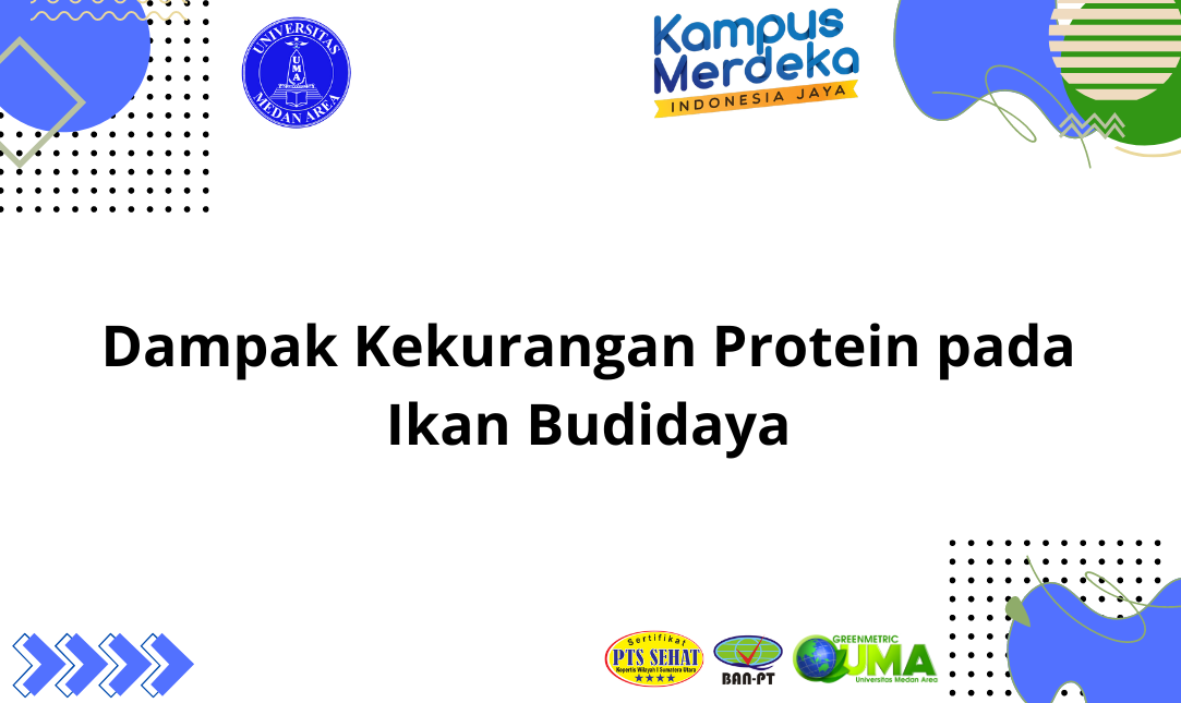 Dampak Kekurangan Protein pada Ikan Budidaya - BPM